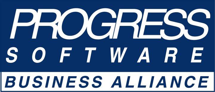 Technology Partners – ISS Group